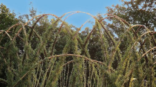 Awning in a Willow Dome - SL Rasch